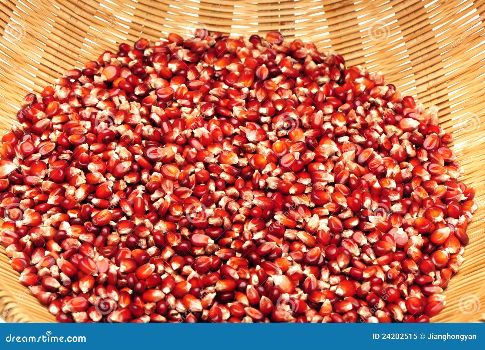 RED CORN stock image. Image of kernel, cooking, vegetable - 24202515