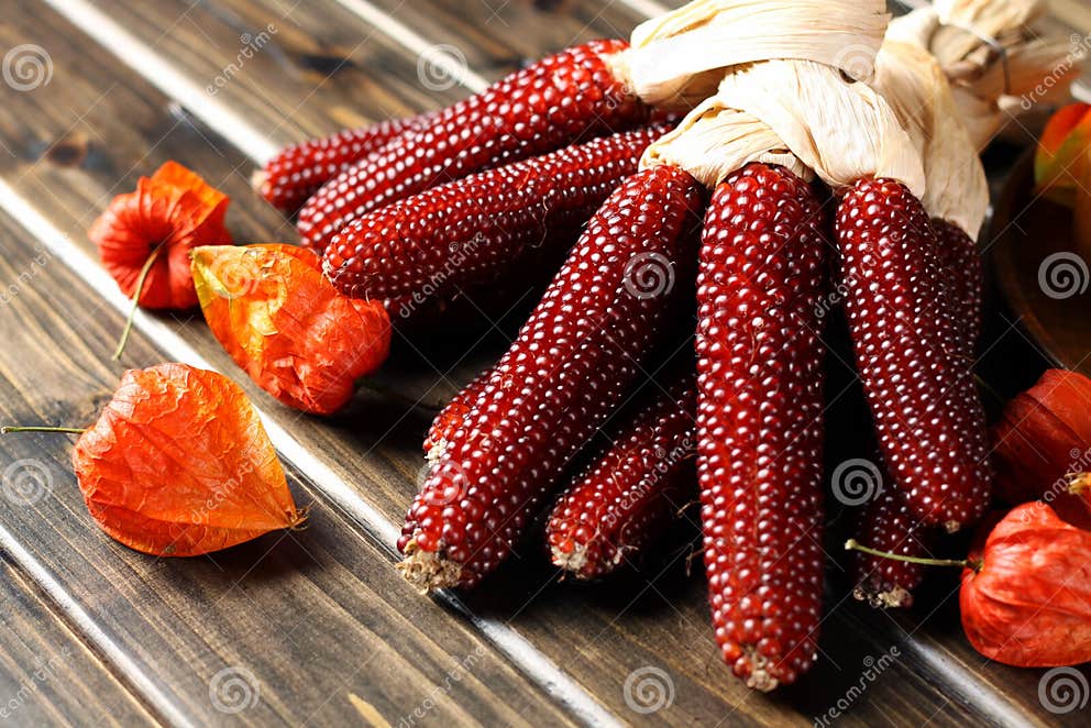 RED CORN COB stock photo. Image of vegetable, husk, masa - 21246490