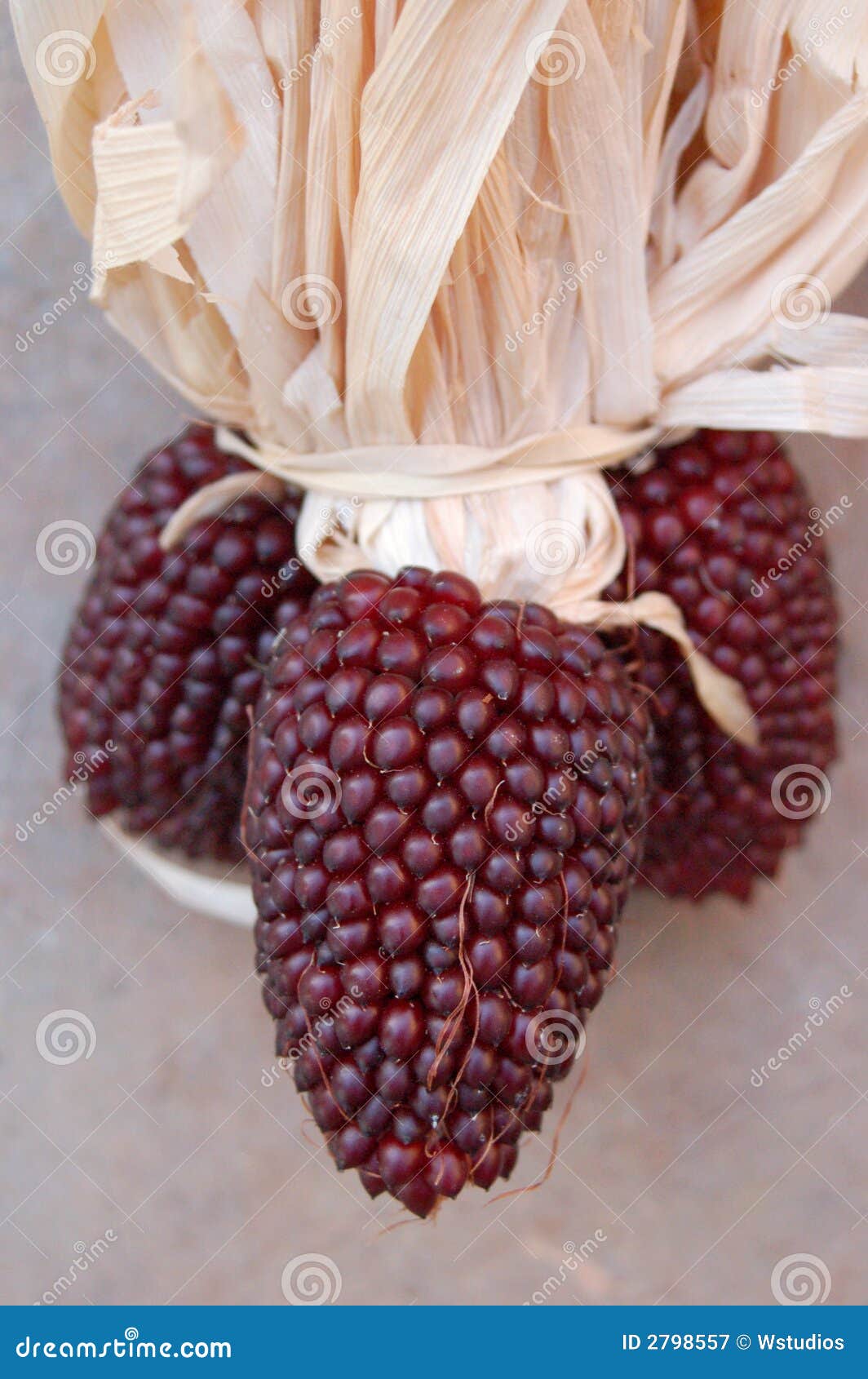 Red Corn Cob stock image. Image of maiz, grocery, kernel - 2798557