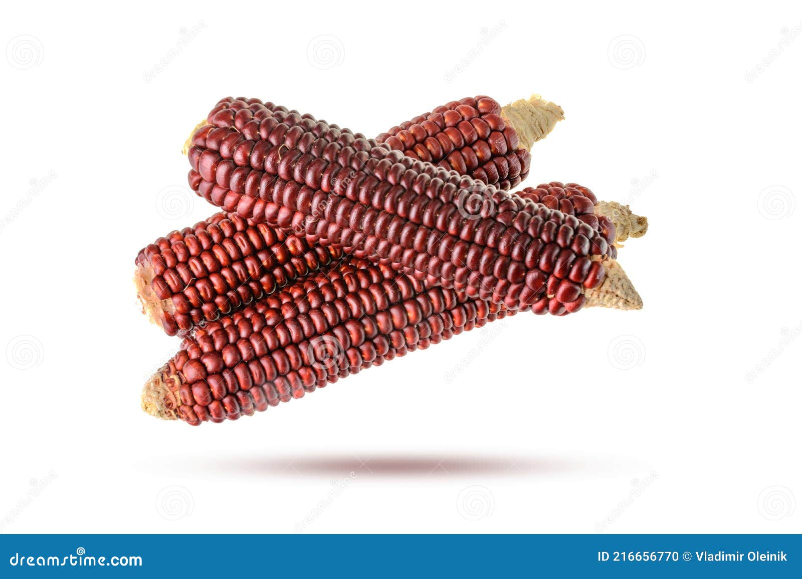 Red Corn Isolated on a White Background.Cobs of Ruby Queen or Red Sweet ...