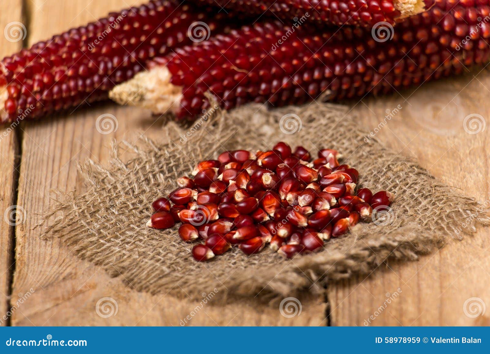 Red corn stock image. Image of healthy, leaf, maize, color - 58978959