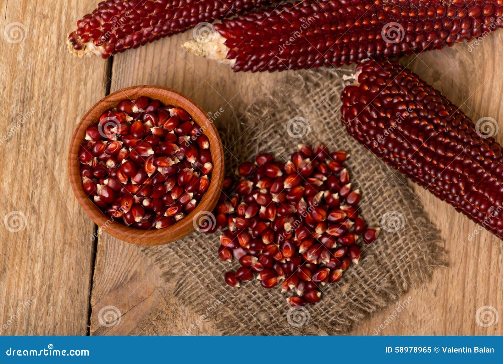 Red corn stock image. Image of agriculture, nutrition - 58978965
