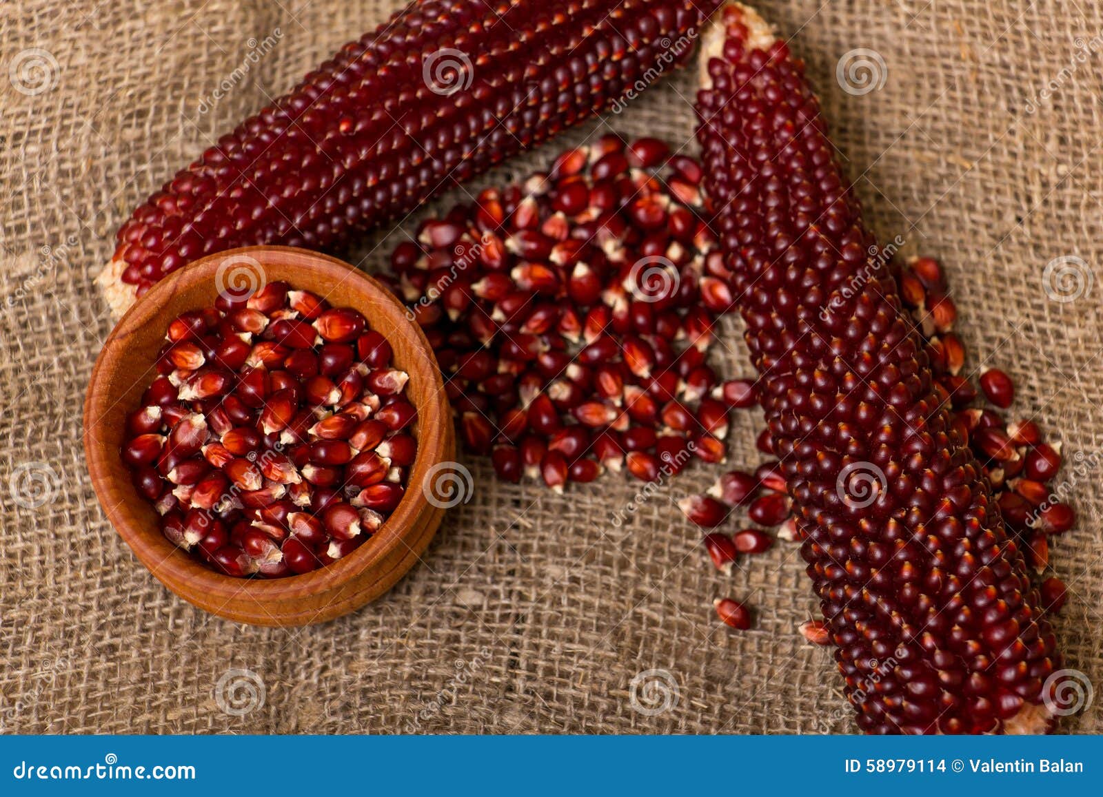Red corn stock photo. Image of ingredient, healthy, plant - 58979114