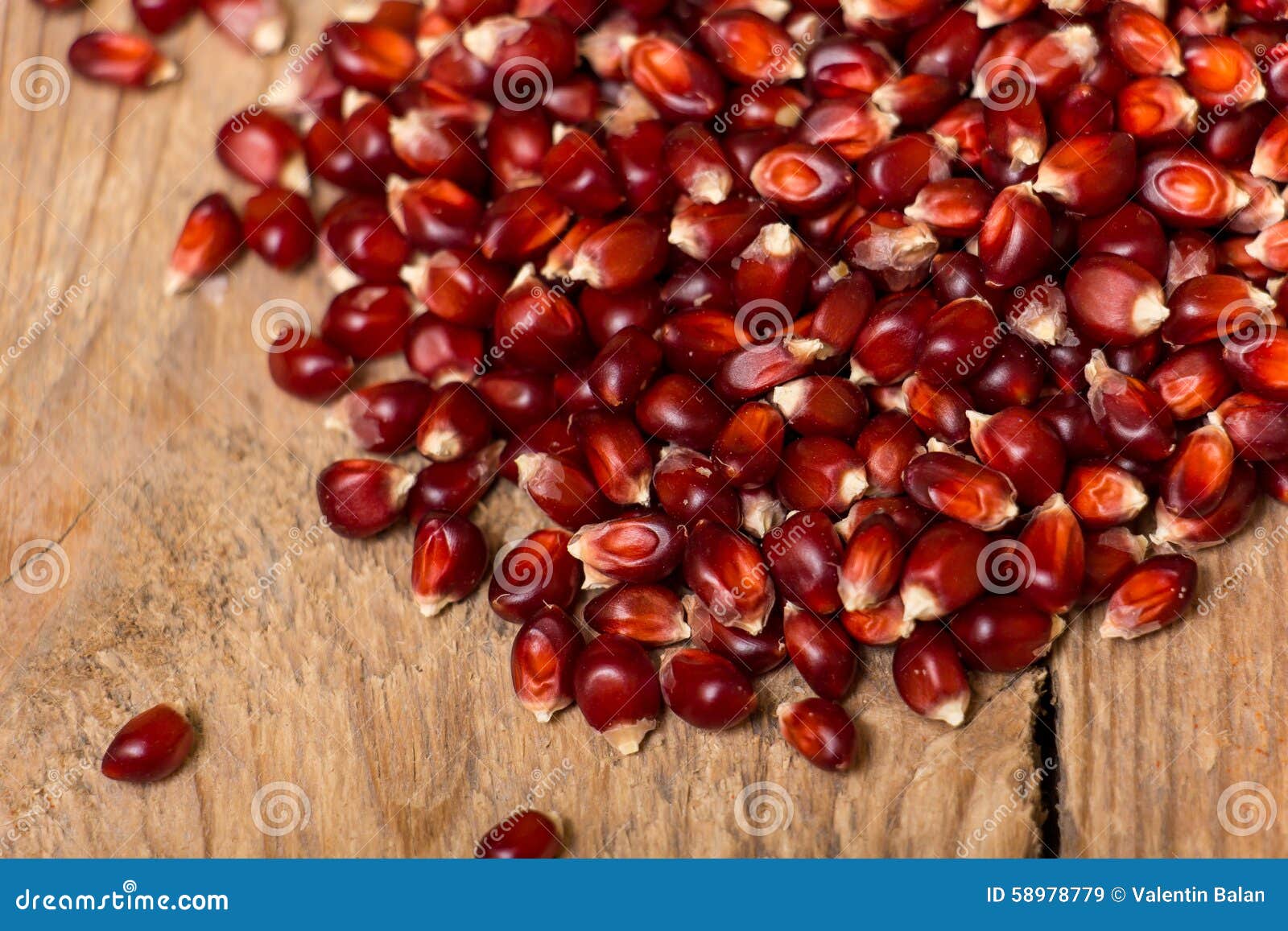 Red corn stock image. Image of corn, farm, healthy, plant - 58978779
