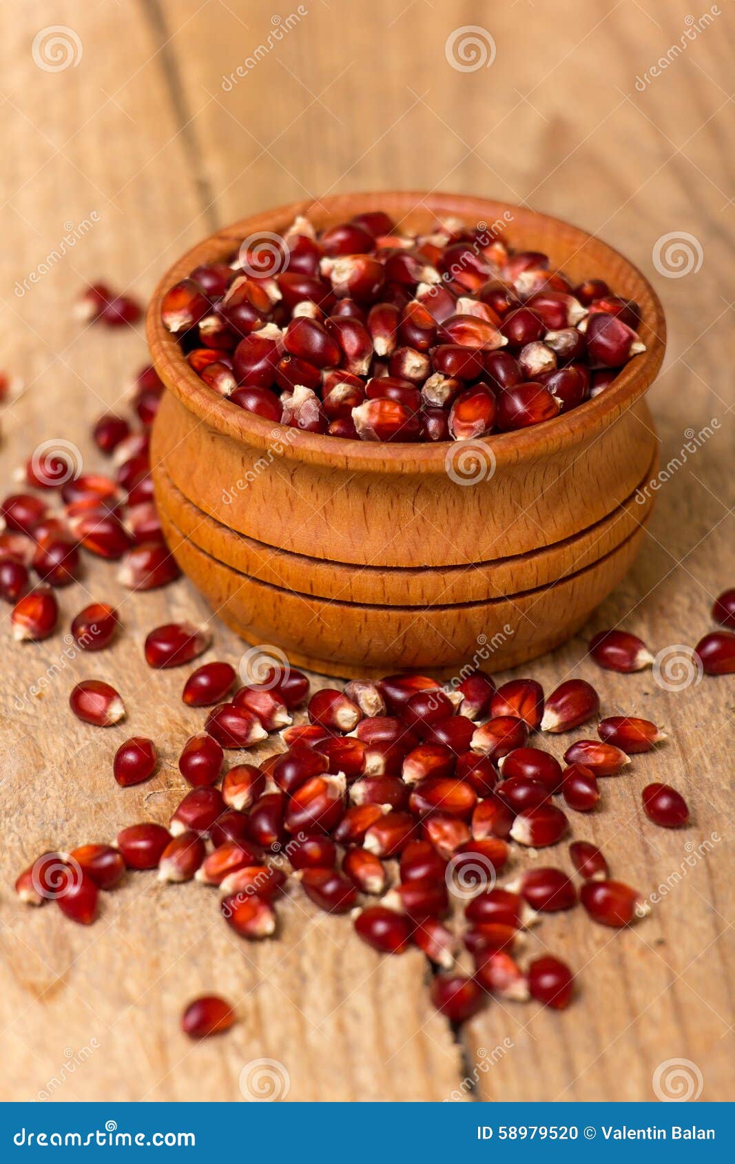 Red corn stock photo. Image of farm, natural, husk, food - 58979520
