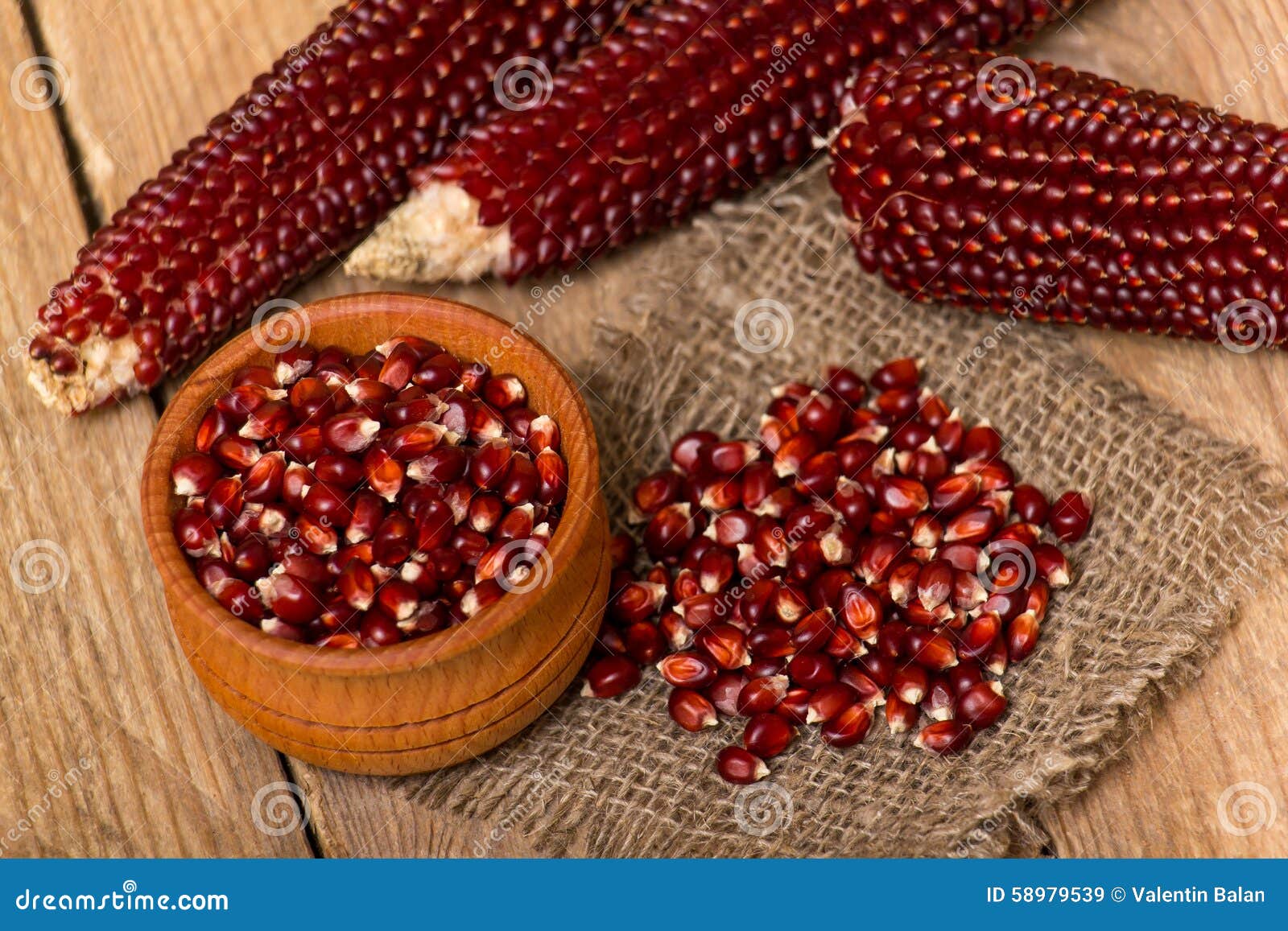 Red corn stock image. Image of closeup, plant, biology - 58979539