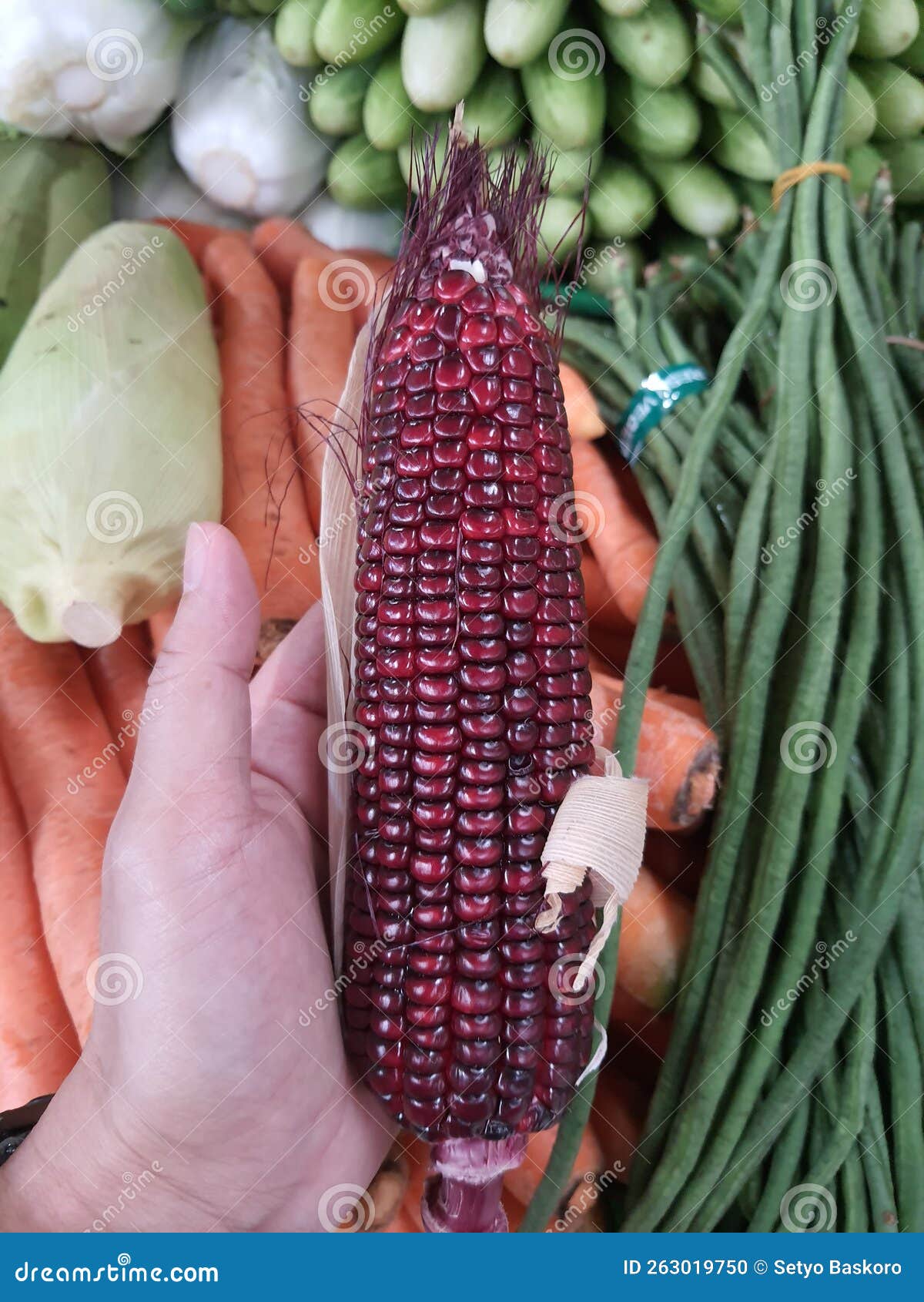 Red corn and vegetables stock photo. Image of vegetables - 263019750