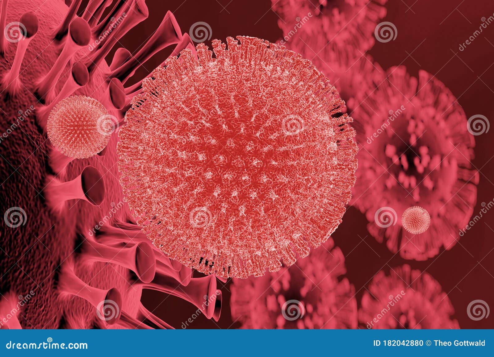 Coronavirus Cells Invading Host Organism Causing COVID Stock Image ...