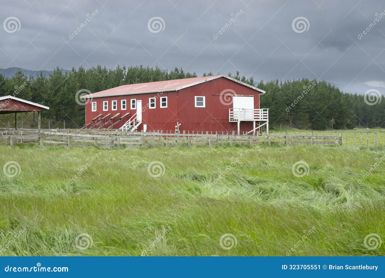 Red Corrugated Iron Shearing Shed Stock Image - Image of green, rural ...