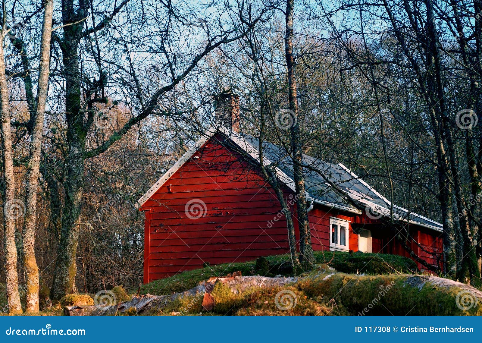 Red cottage stock photo. Image of holiday, vacation, forest - 117308