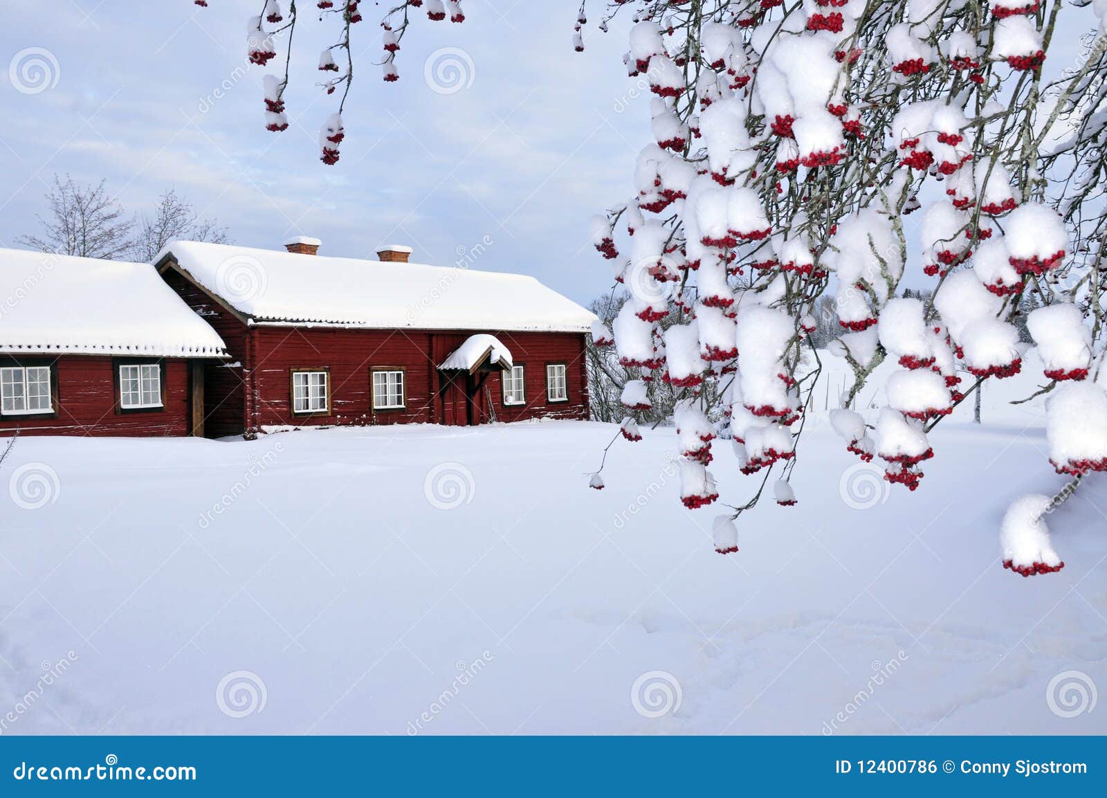 Red cottage stock photo. Image of nature, snow, cottage - 12400786