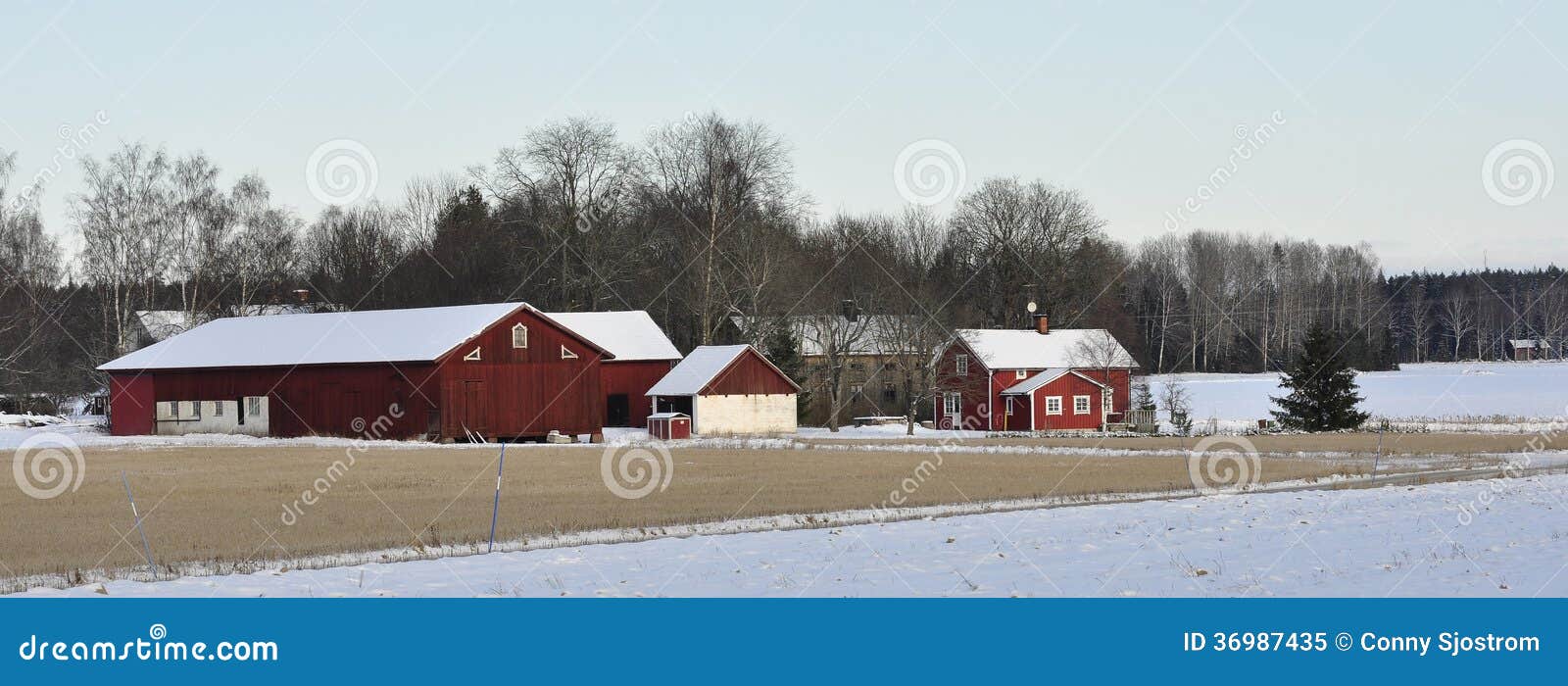 Red cottage stock image. Image of agricultural, typical - 36987435