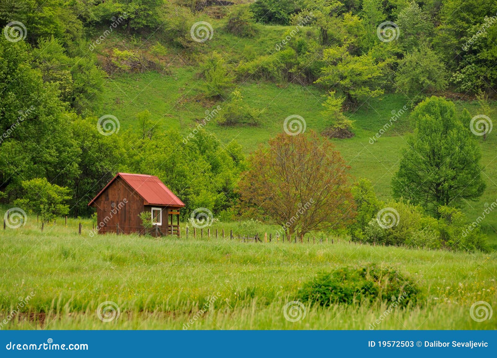 Red cottage in nature stock image. Image of building - 19572503