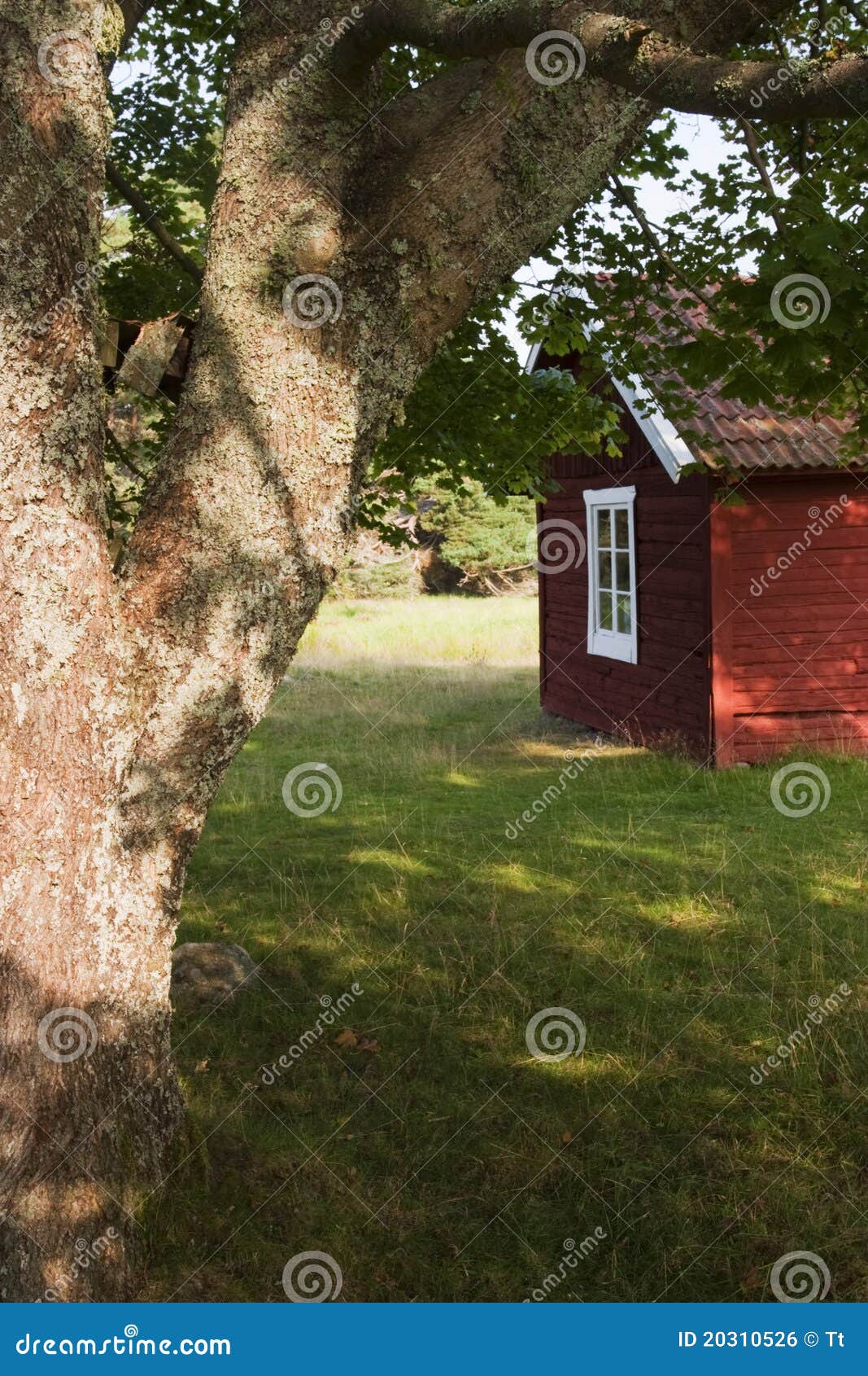 Red cottages stock photo. Image of cabin, facade, cottage - 20310526