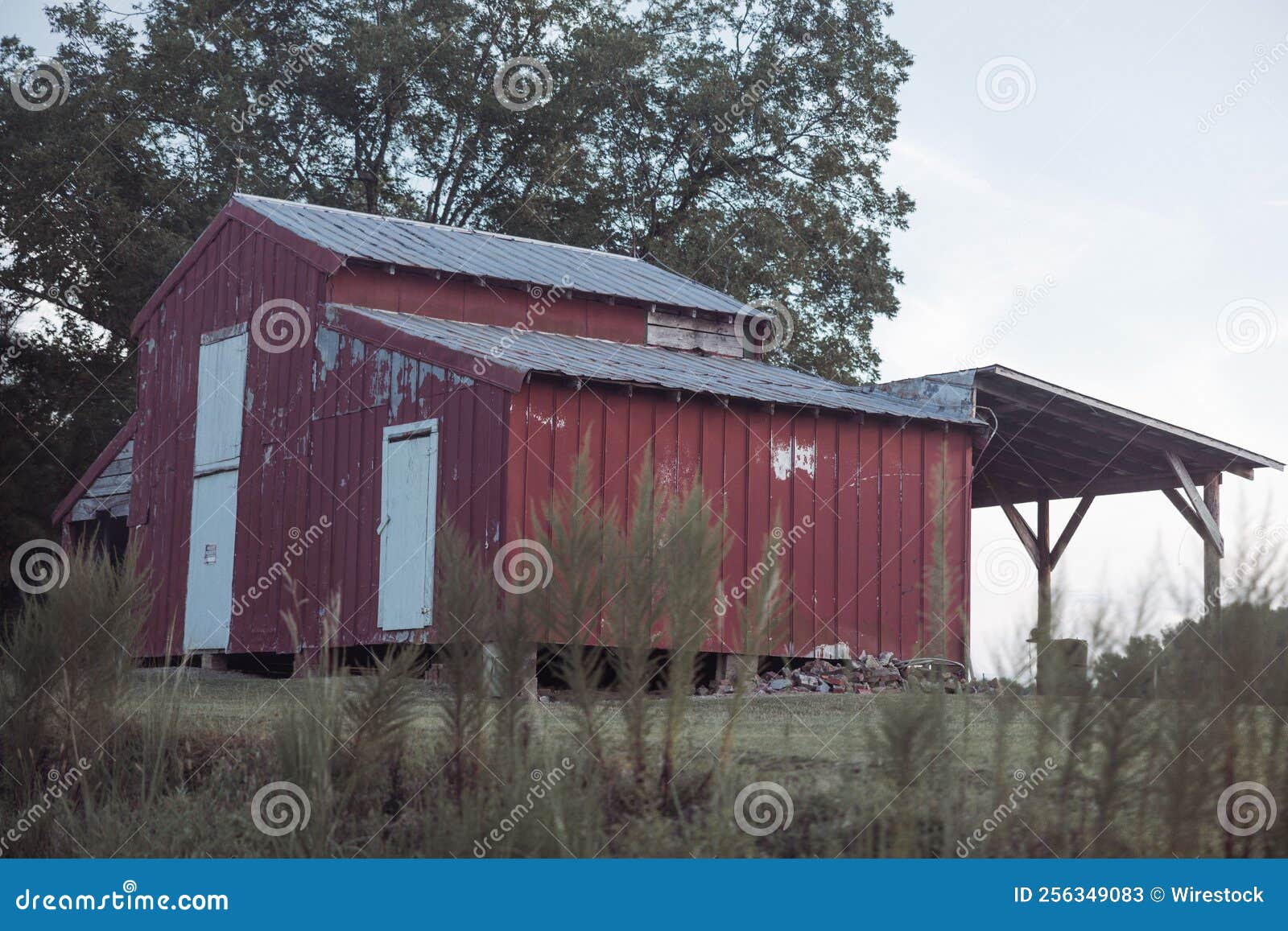Red Country Barn in a Field Stock Image - Image of tree, environment ...