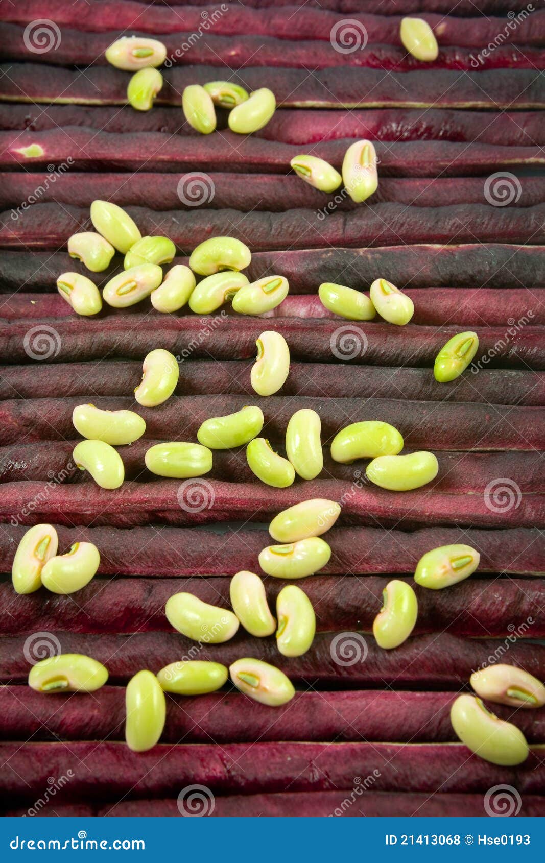 Red cowpea stock photo. Image of fresh, vegetable, healthy - 21413068