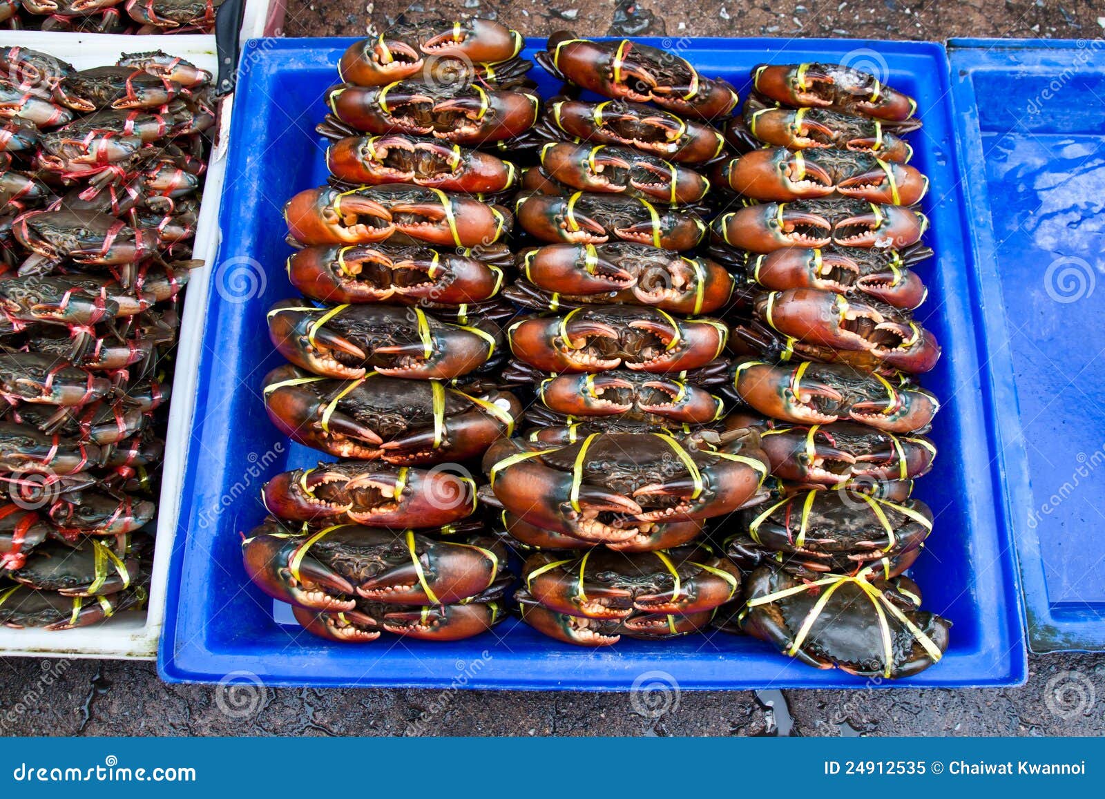 Red crab stock image. Image of cooking, arthropod, shell - 24912535