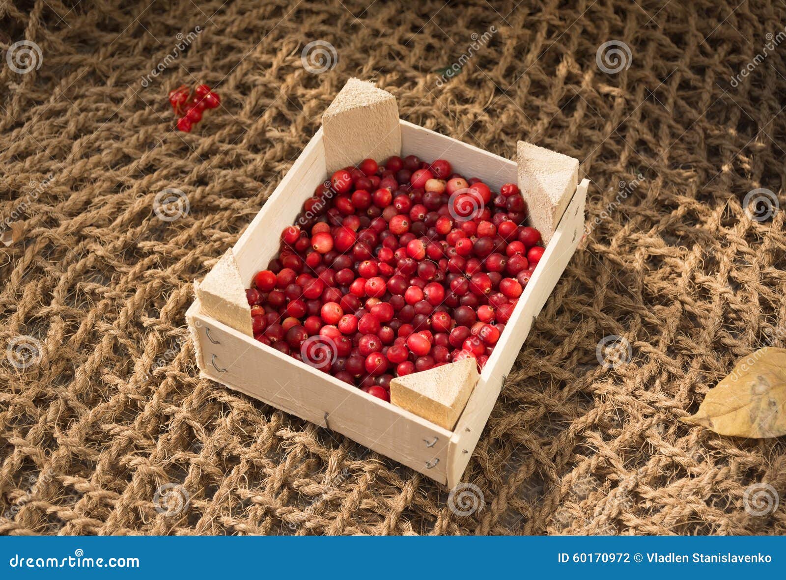 Red Cranberries in a Box on a Background of Burlap Stock Photo - Image ...