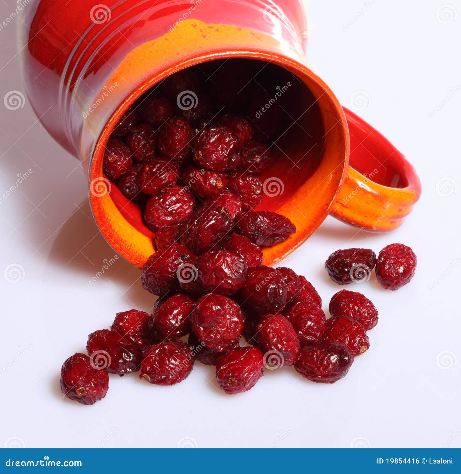 Red cranberries isolated stock photo. Image of color - 19854416