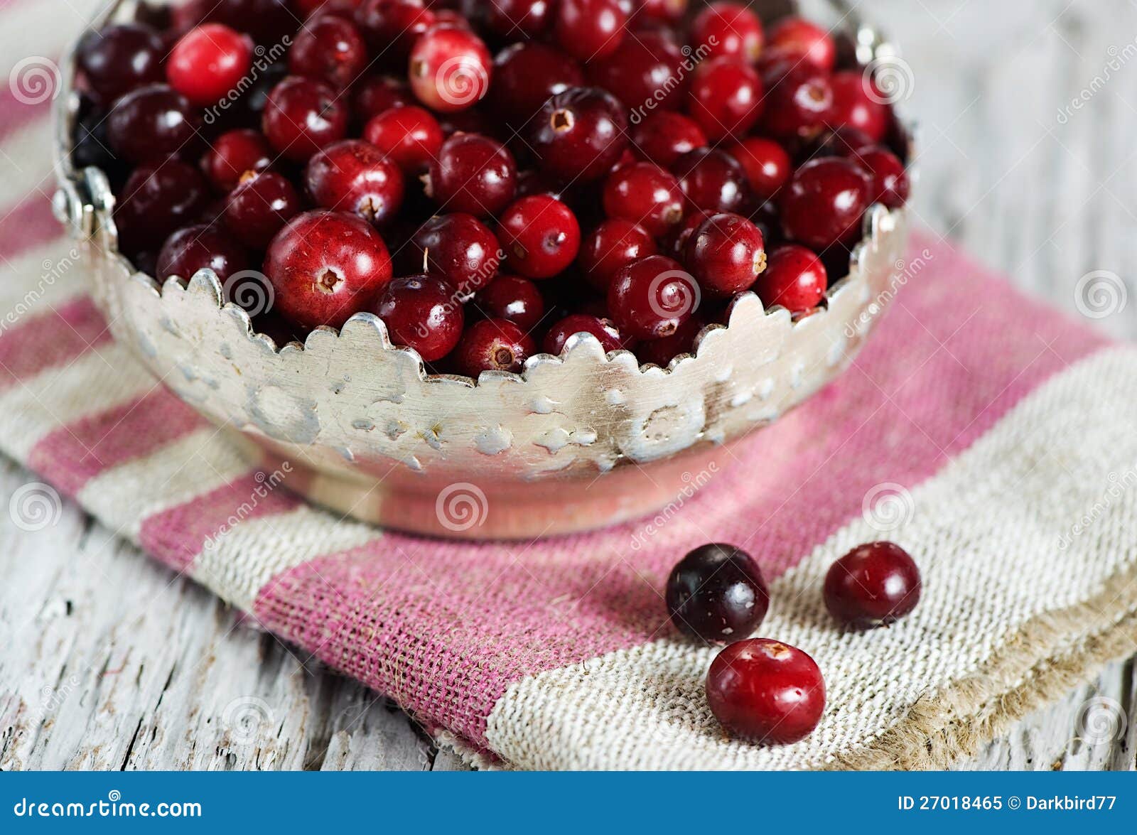 Red cranberry stock image. Image of berry, food, ripe - 27018465