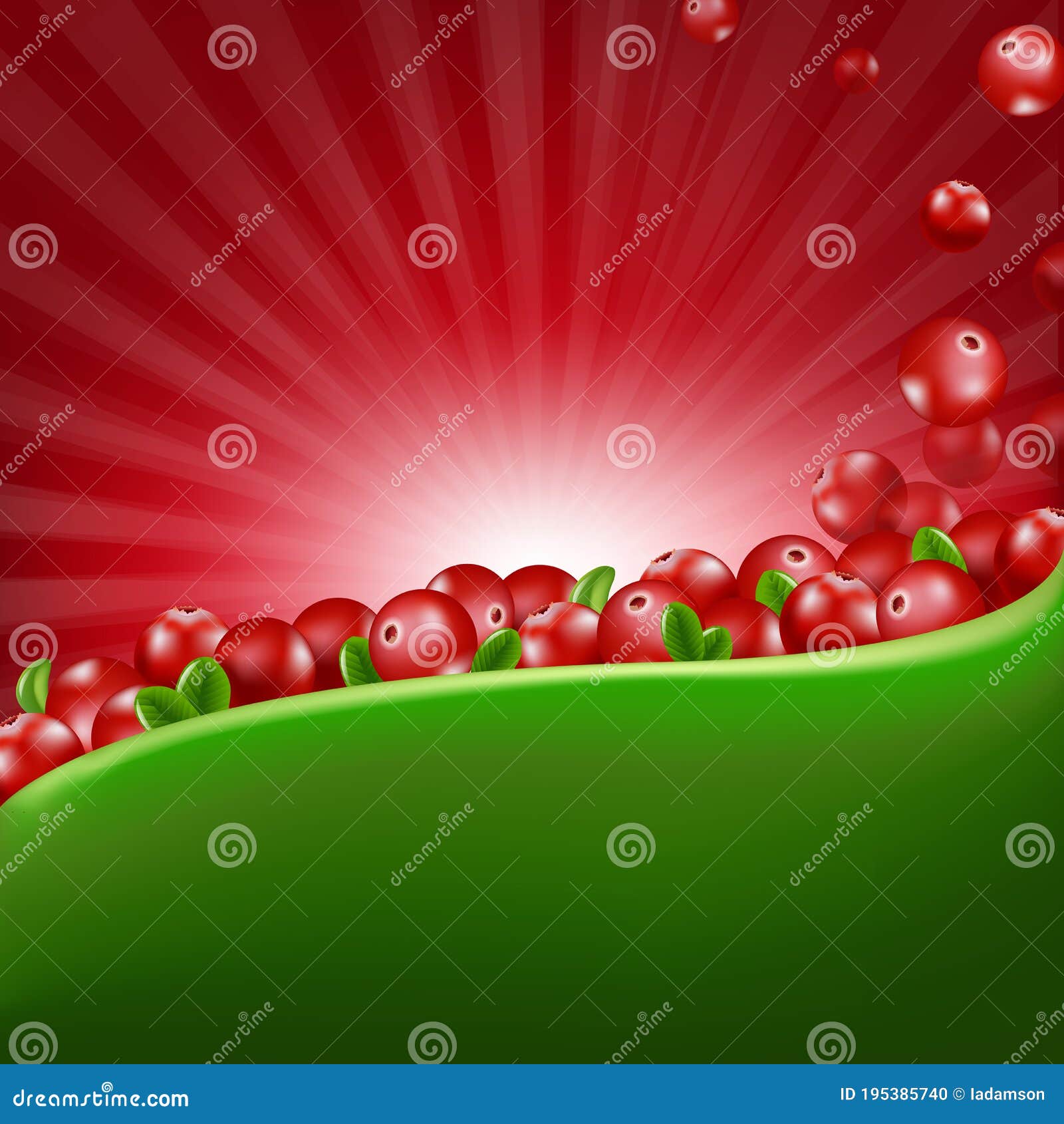 Red Cranberry Border with Sunburst Stock Vector - Illustration of ...