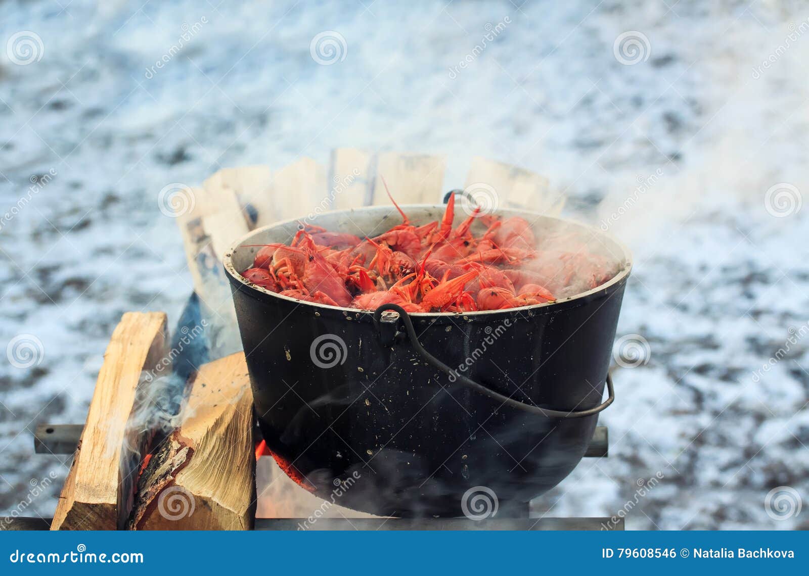 Red Crawfish Stew in a Pot Over the Fire during a Picnic Stock Photo ...