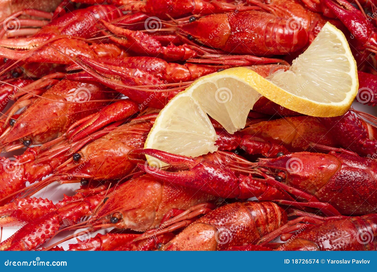 Red crayfish stock photo. Image of crawfish, lobster - 18726574