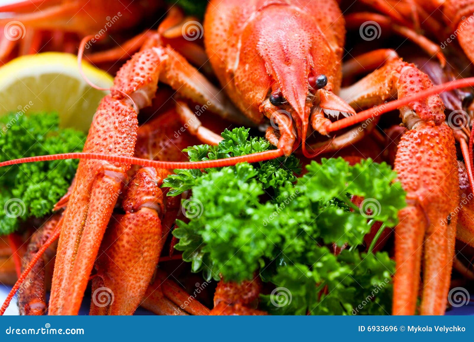 Red crayfish stock photo. Image of seafood, food, heat - 6933696