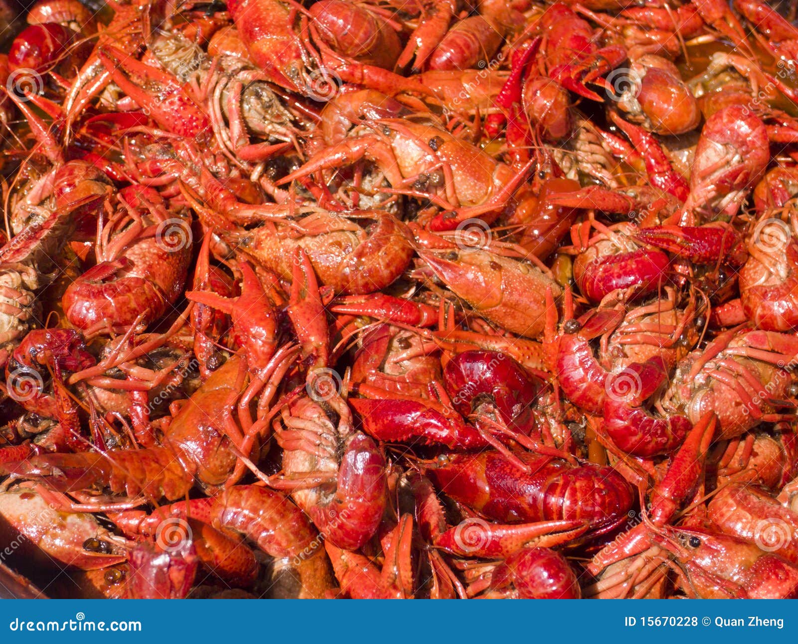 Red crayfish closeup stock photo. Image of multi, close - 15670228