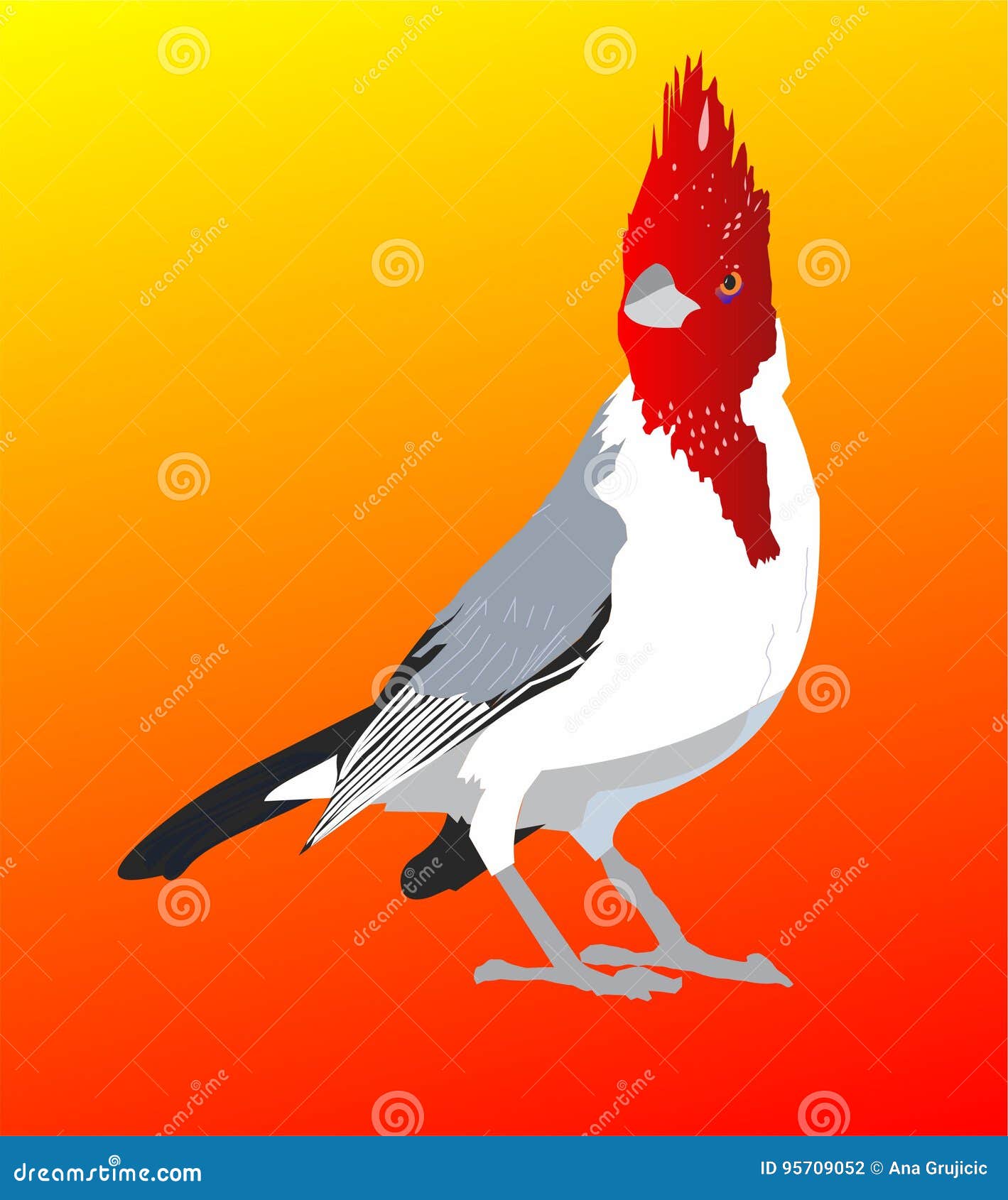 Red crested cardinal stock illustration. Illustration of blue - 95709052
