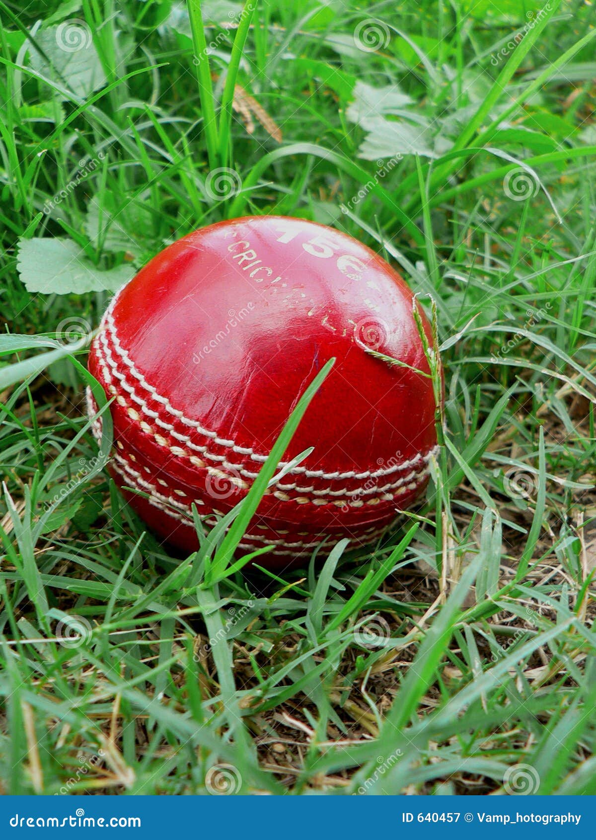 Red Cricket Ball stock image. Image of grass, ball, stiching - 640457