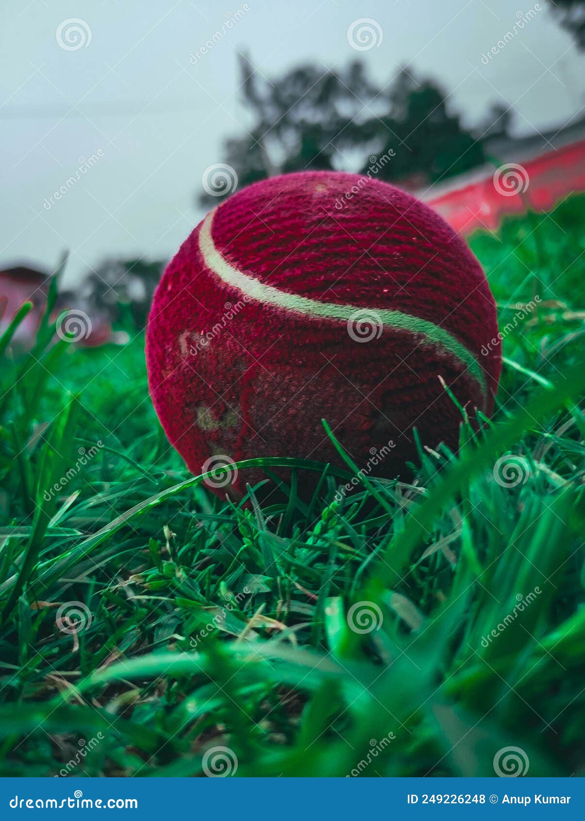 A Red Cricket Ball in the Ground with Green Stock Photo - Image of ...