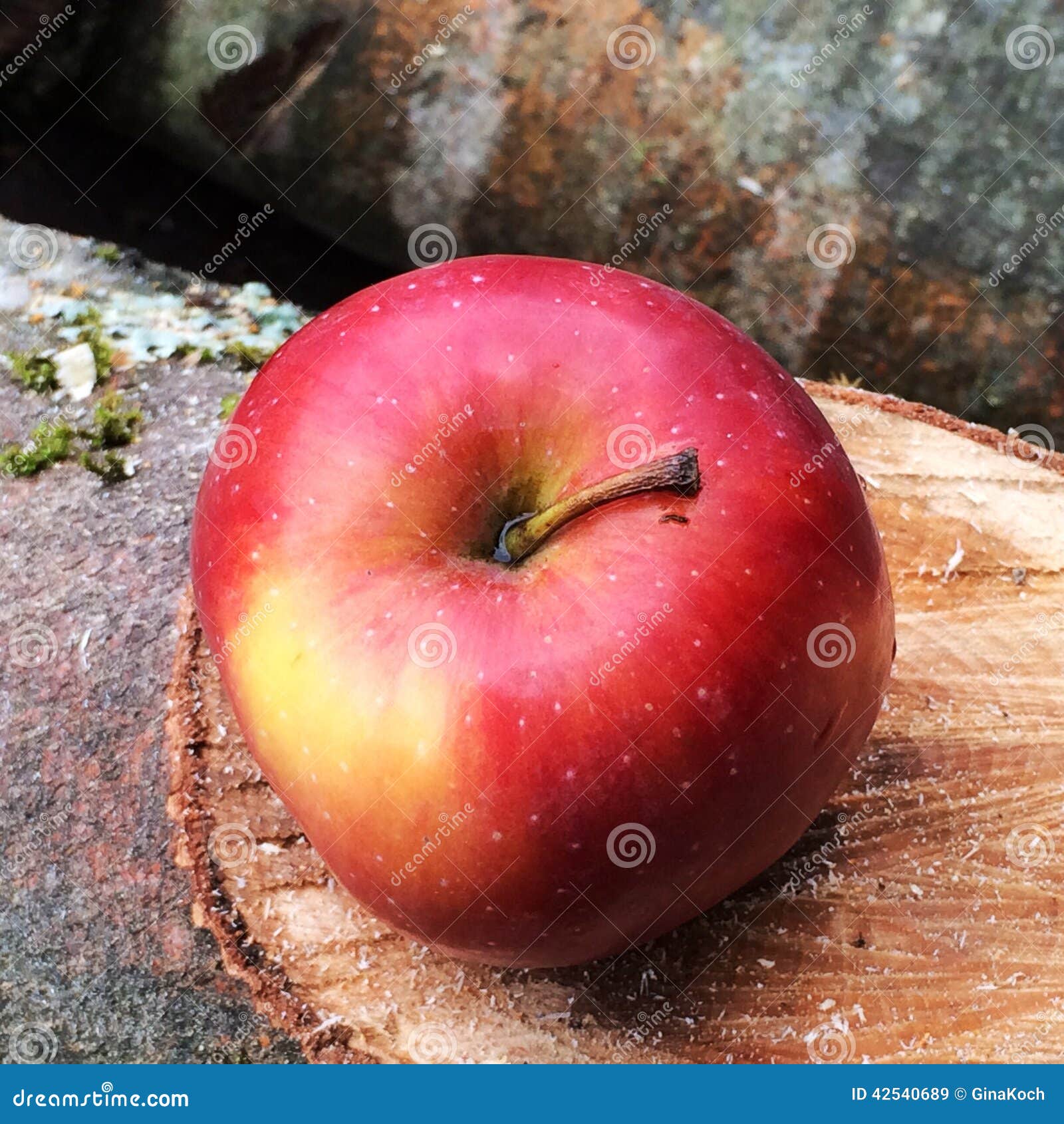 Red crispy apple stock image. Image of crispy, tasty - 42540689