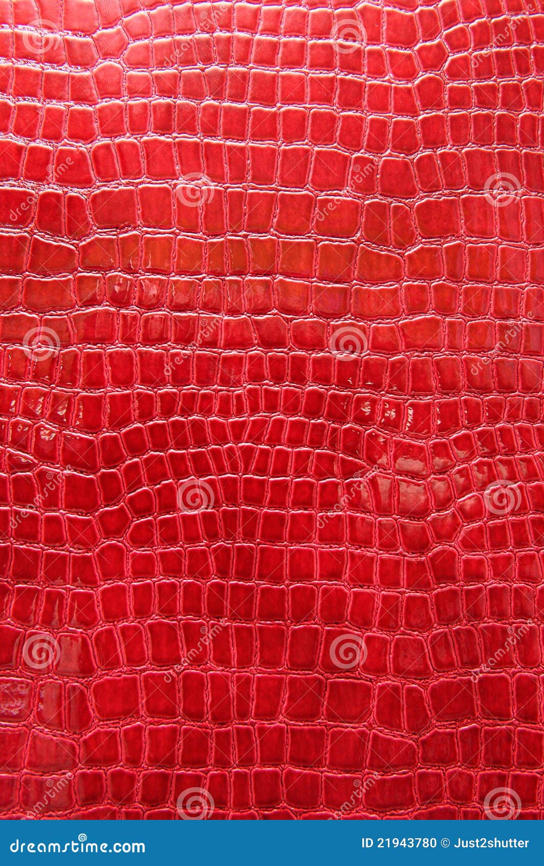 Crocodile Skin Texture Stock Image | CartoonDealer.com #23320855