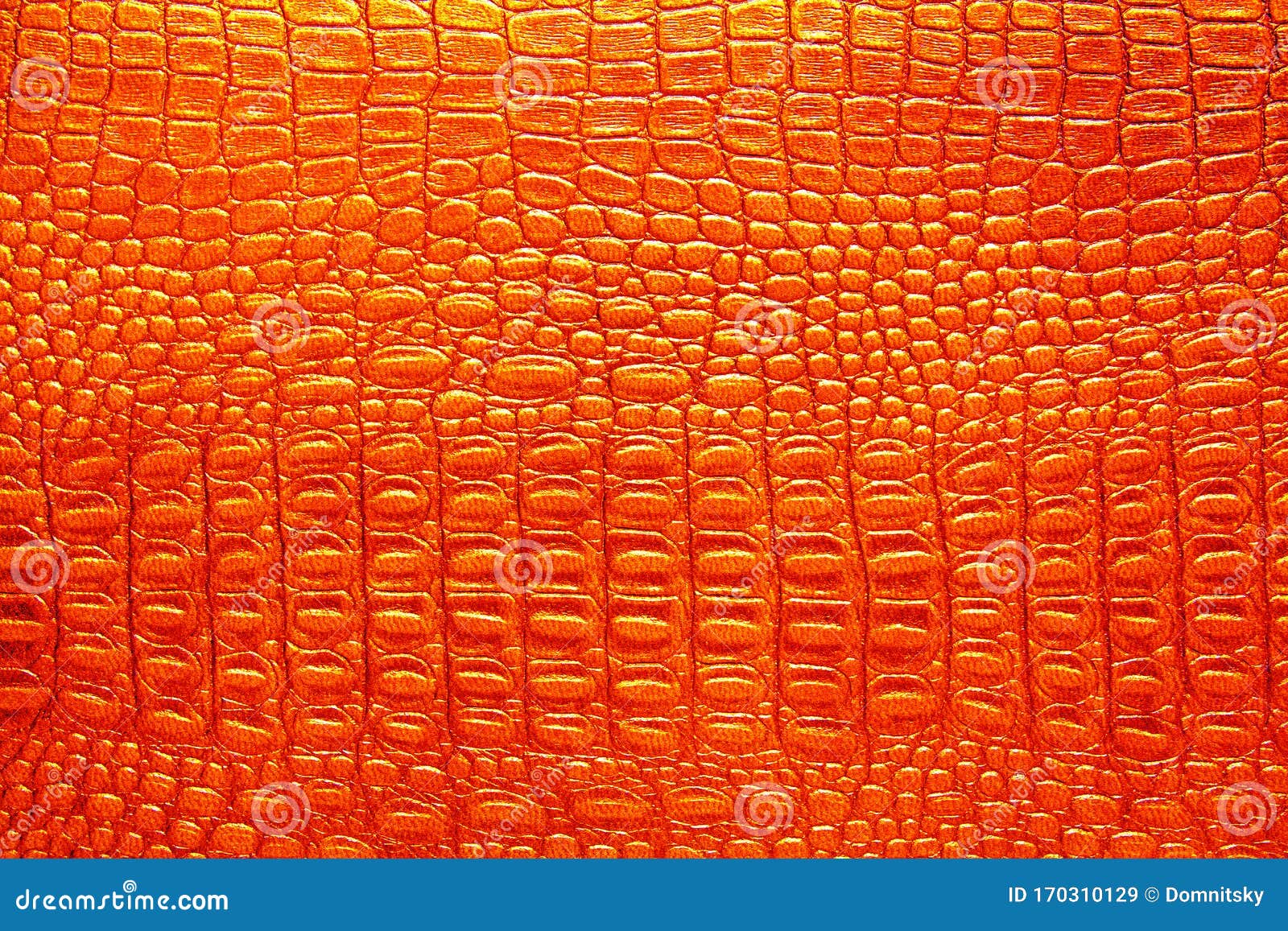 Red crocodile leather stock image. Image of culture - 170310129