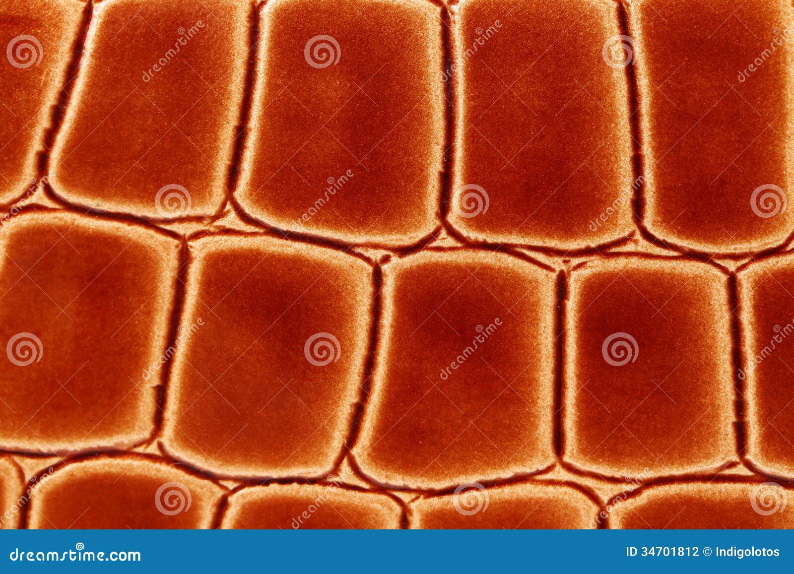 Red Crocodile Skin Texture As a Wallpaper. Stock Photo - Image of ...