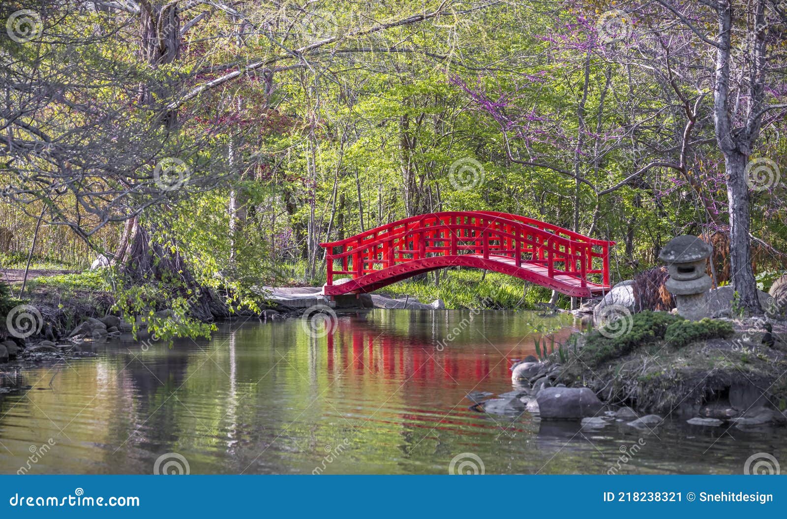 Red Cross Bridge in Japanese Garden Stock Image - Image of forest ...