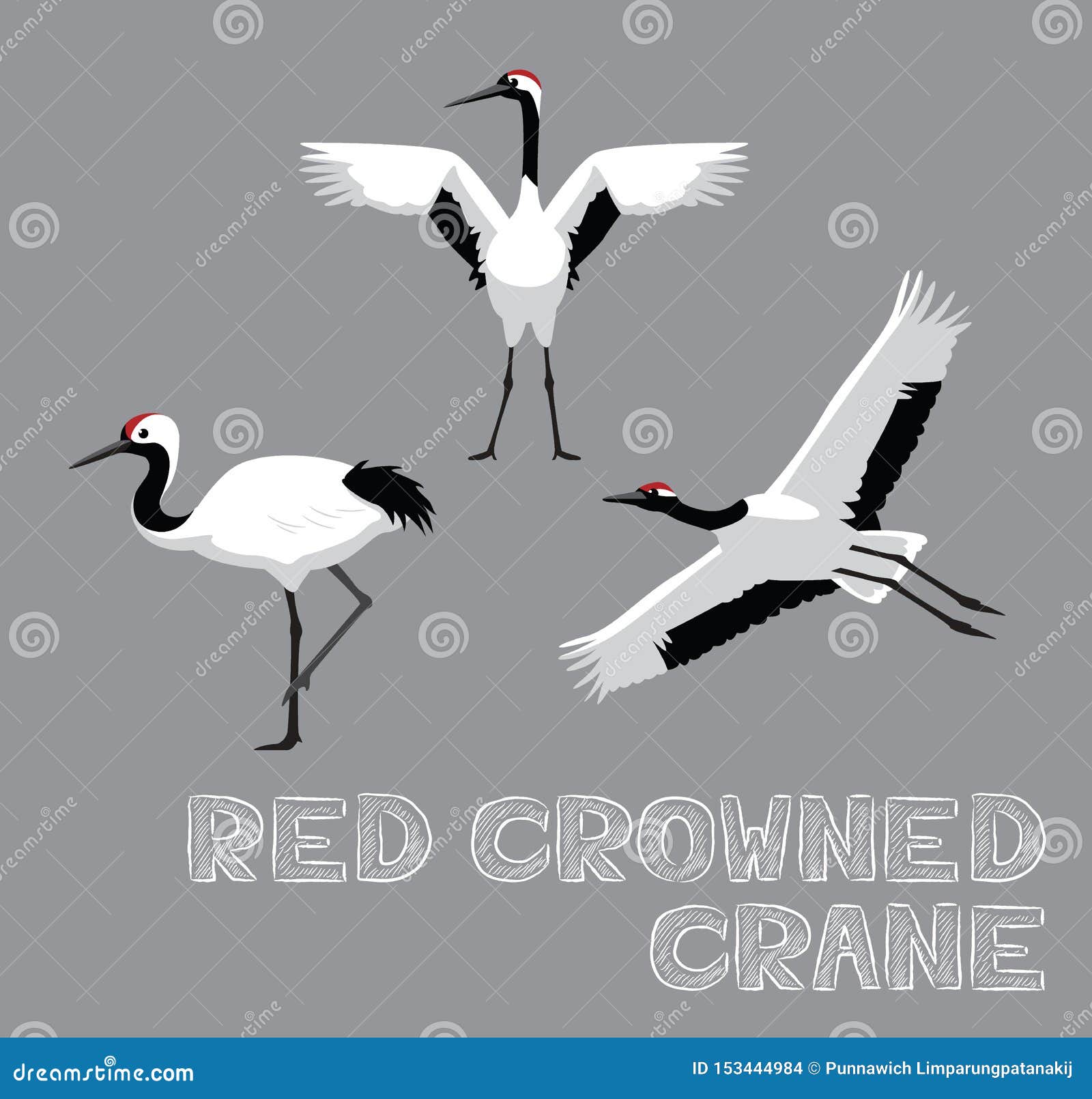 Red Crowned Crane Cartoon Vector Illustration Stock Vector ...