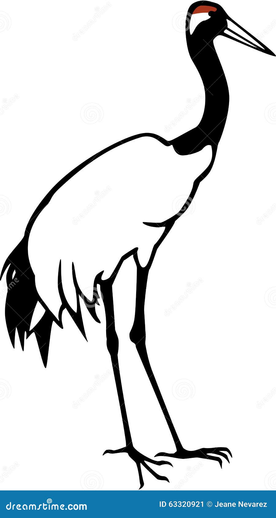 Red Crowned Crane Cartoon Vector | CartoonDealer.com #63320921