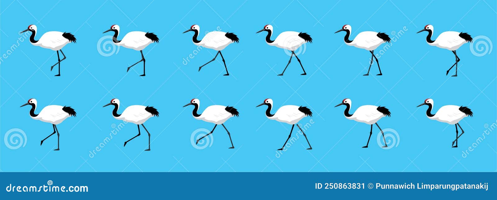 Red Crowned Crane Walking Motion Animation Sequence Cartoon Vector ...