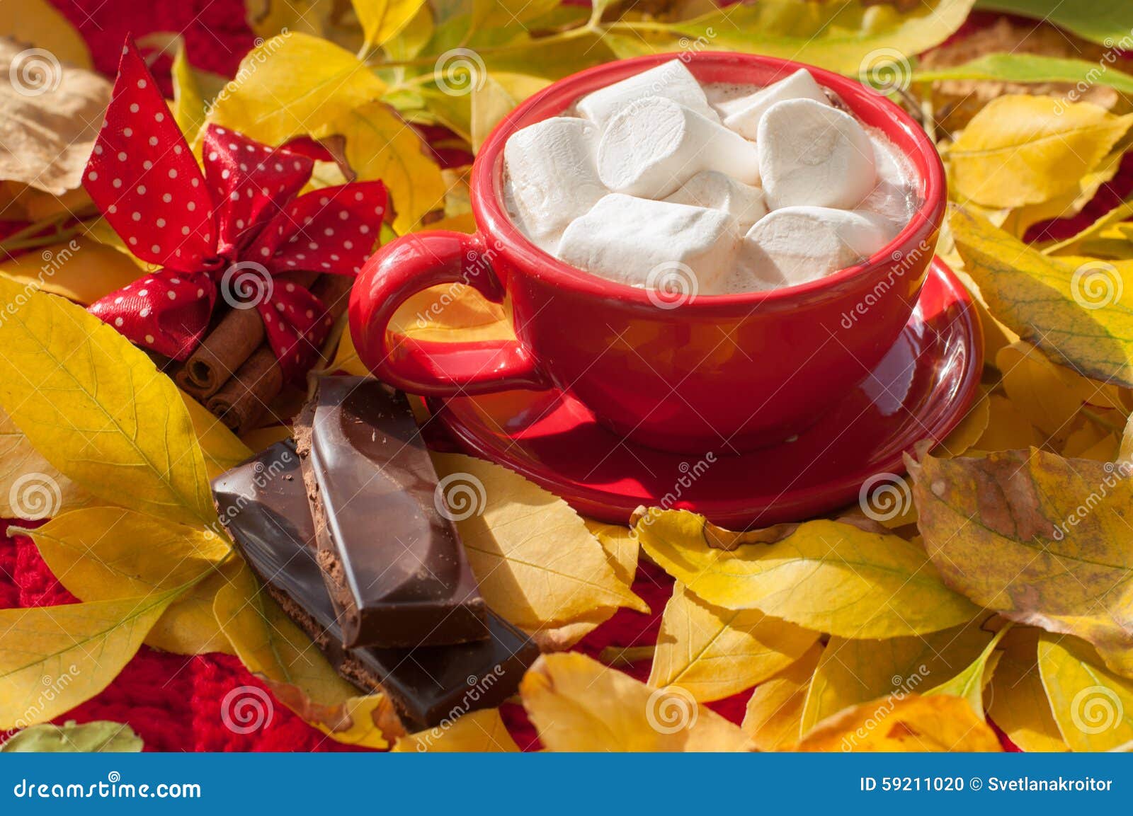 A Red Cup of Cocoa with Marshmallows, Several Peaces of a Chocolate Bar ...