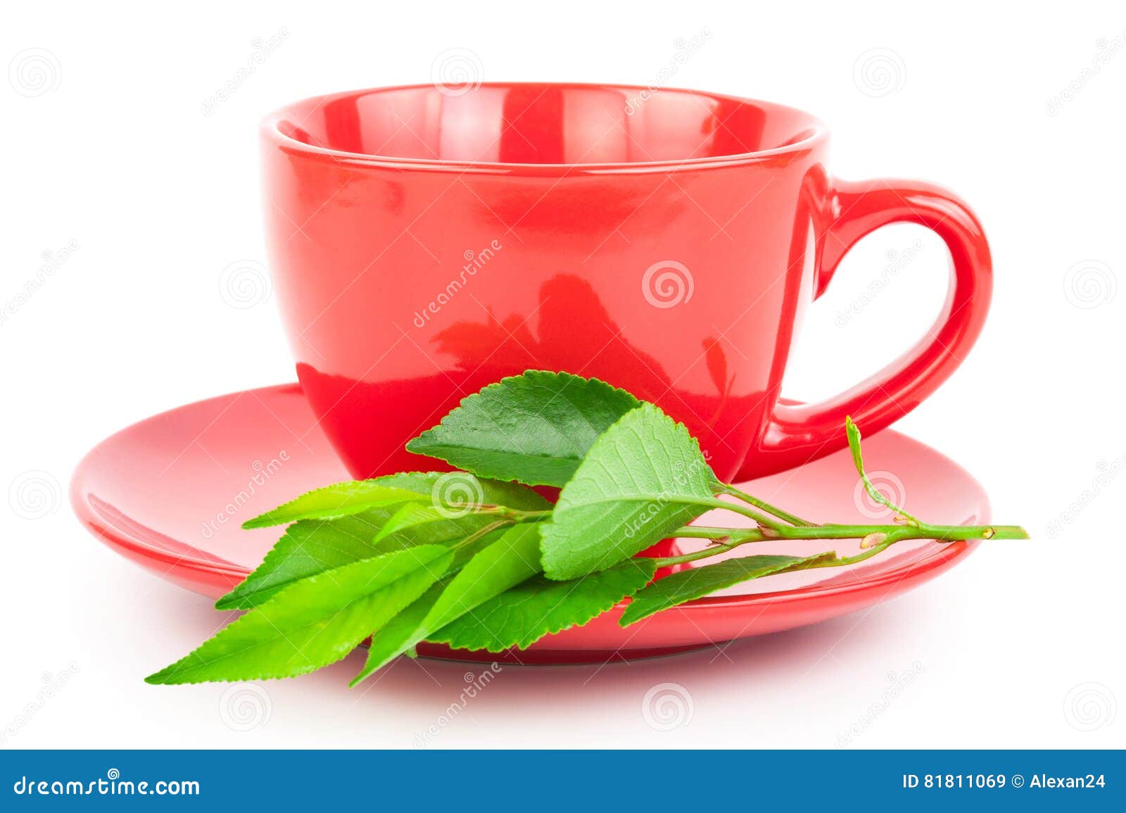 Red Cup of tea with leaves stock image. Image of taste - 81811069