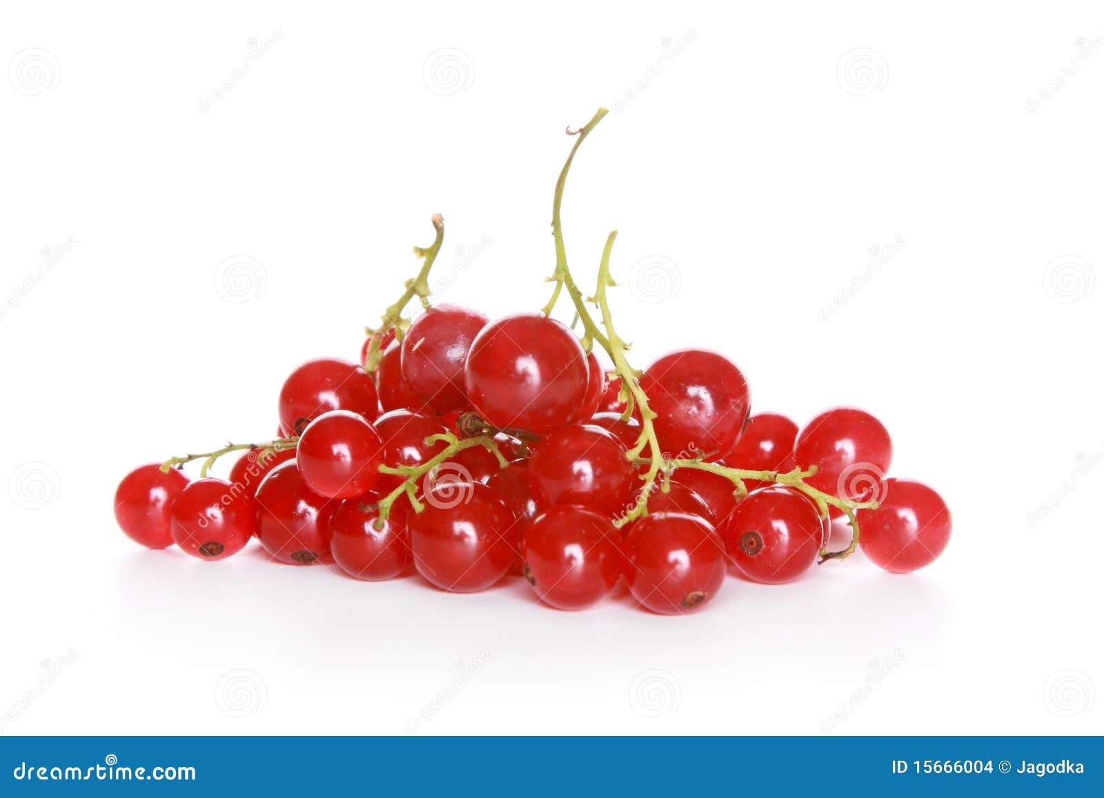 Red currant stock photo. Image of nutrition, berries - 15666004
