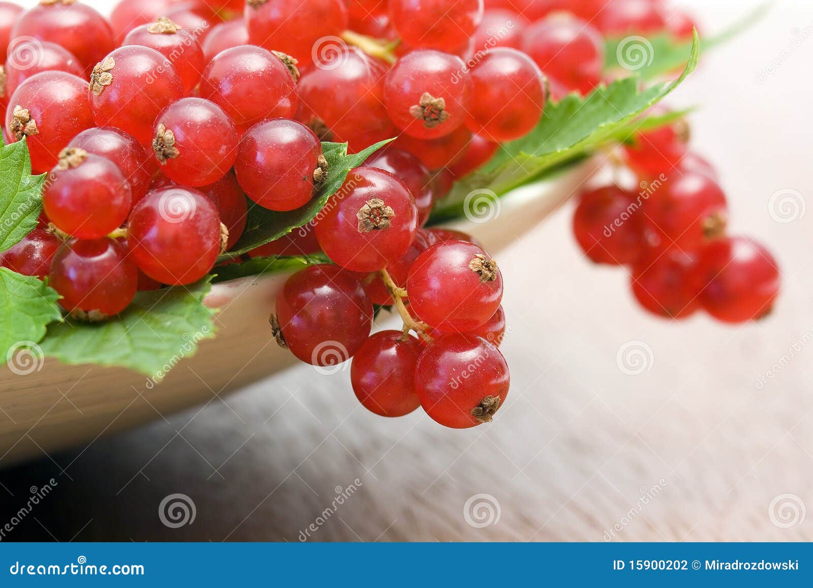 Red currant stock photo. Image of food, marmalade, currant - 15900202