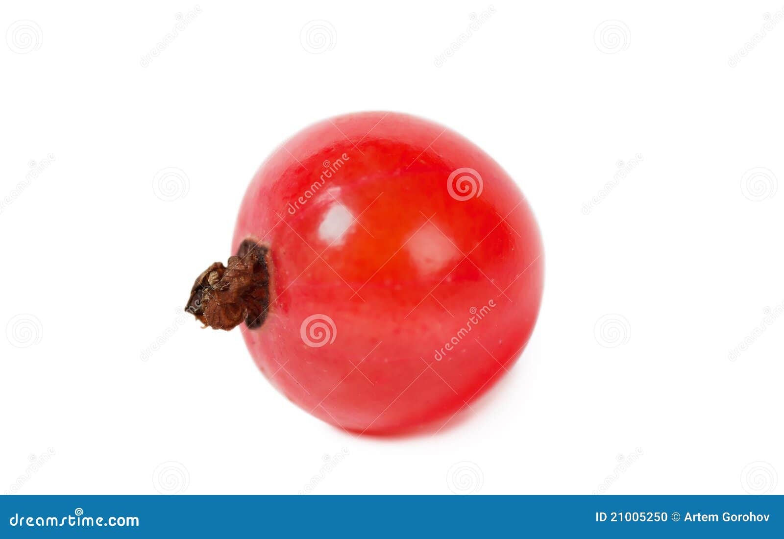 Red currant stock photo. Image of heap, freshness, fruit - 21005250