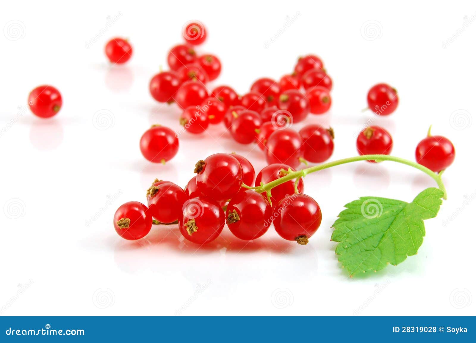 Red currant stock photo. Image of freshness, juicy, delicacy - 28319028