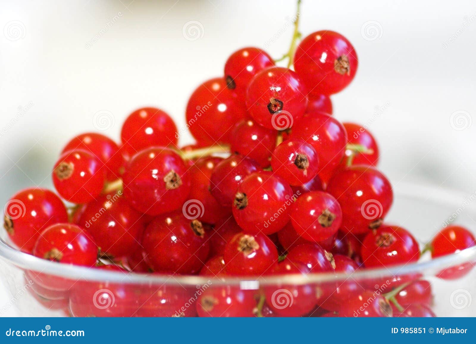 Red currant stock image. Image of vitamines, freshness - 985851