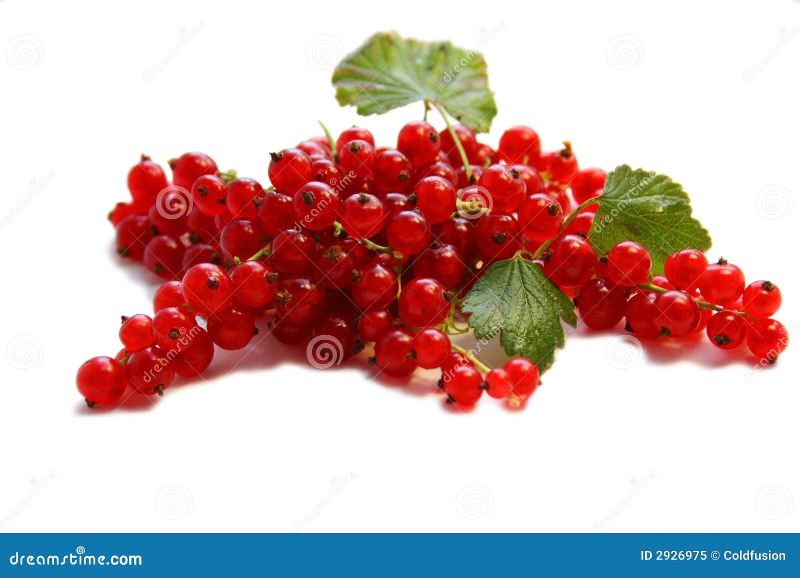 Red currant berries stock image. Image of tropical, fruit - 2926975