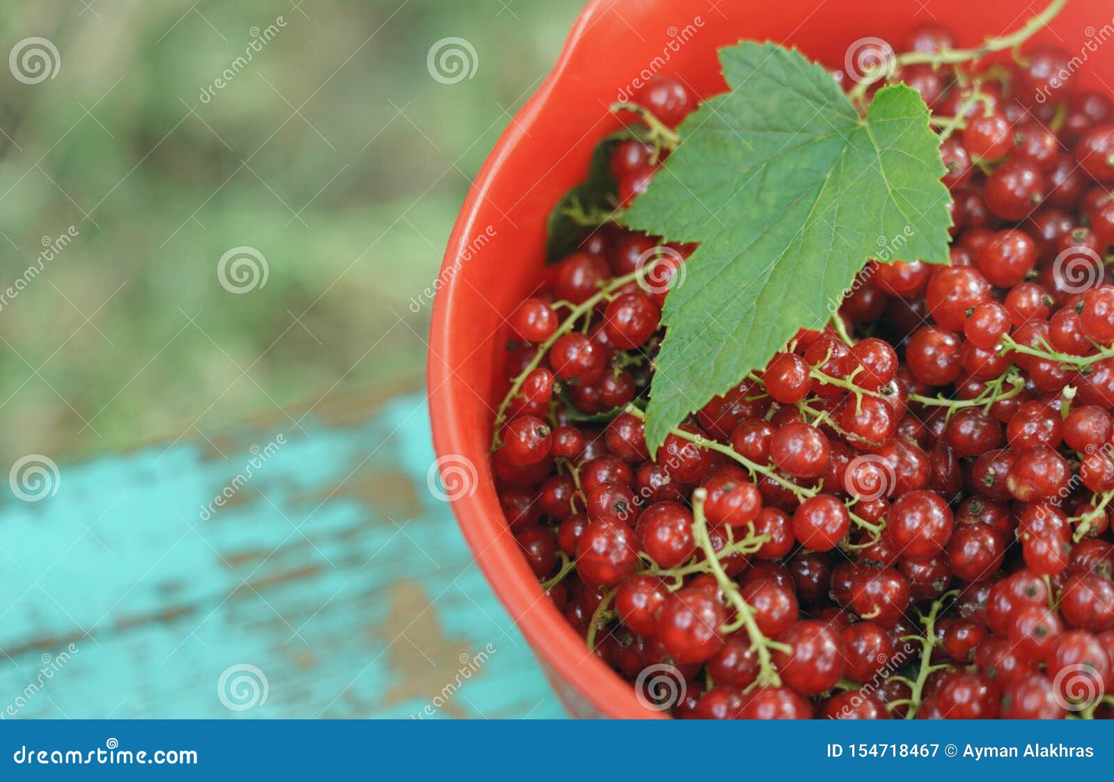Red Currant Berries Container on Vintage Table Stock Image - Image of ...