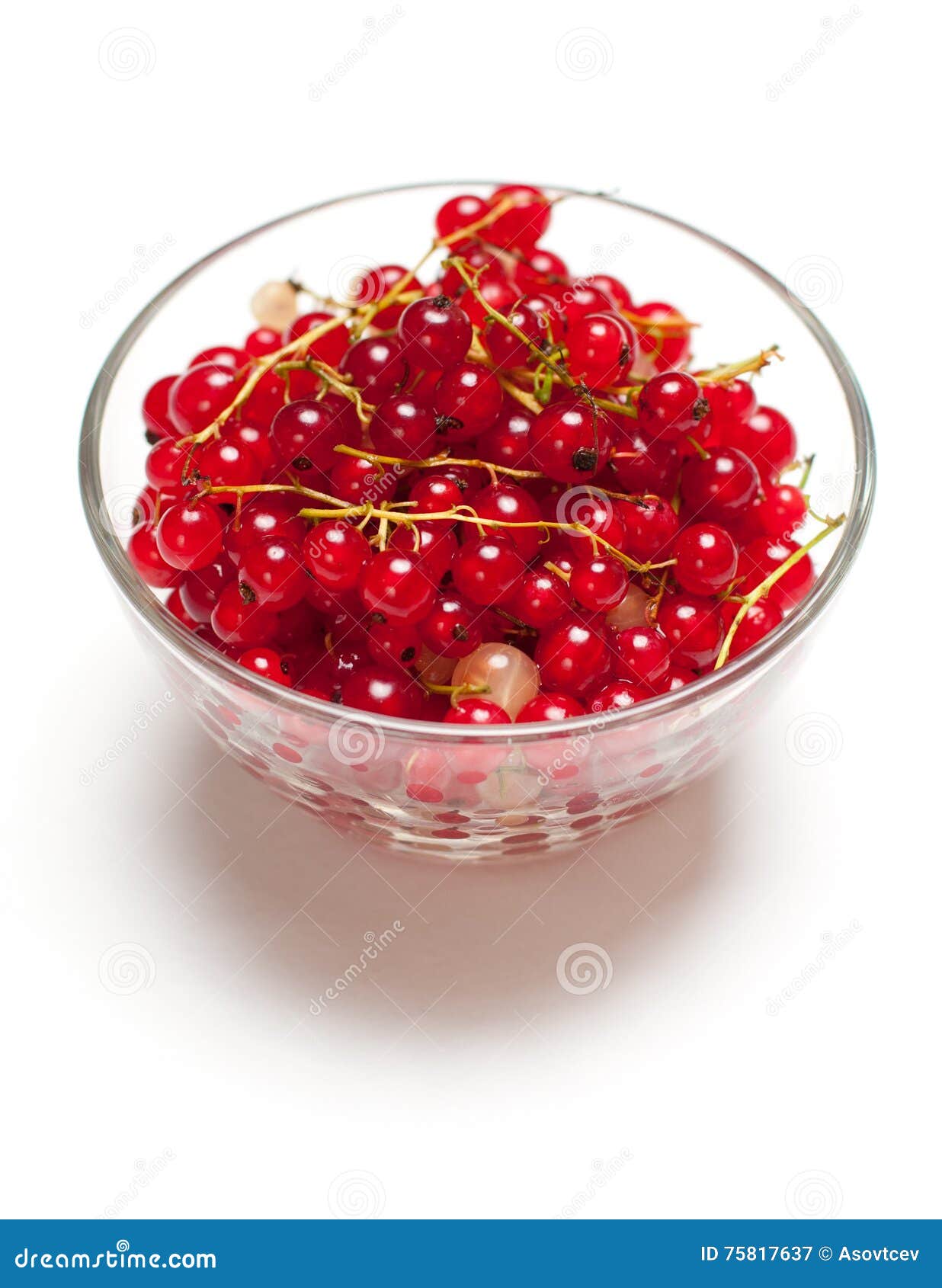 The Red Currant Berries in the Glass Pot Stock Image - Image of mellow ...